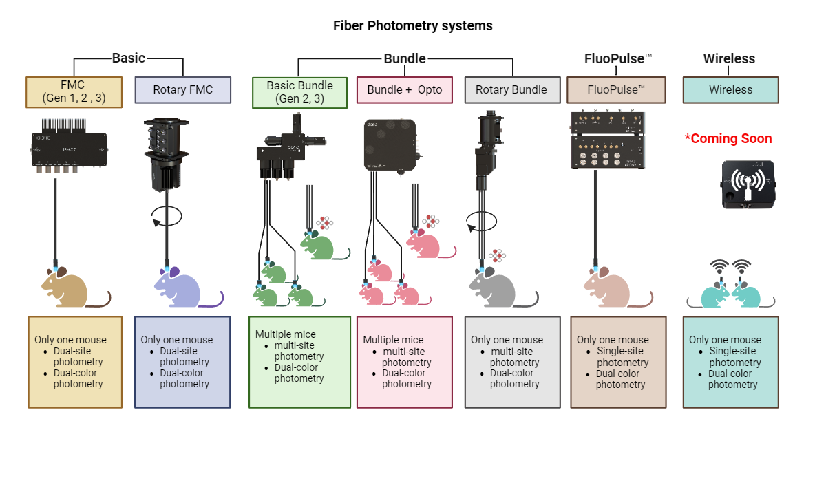Fiber Photometry Solutions – Doric Lenses Inc.