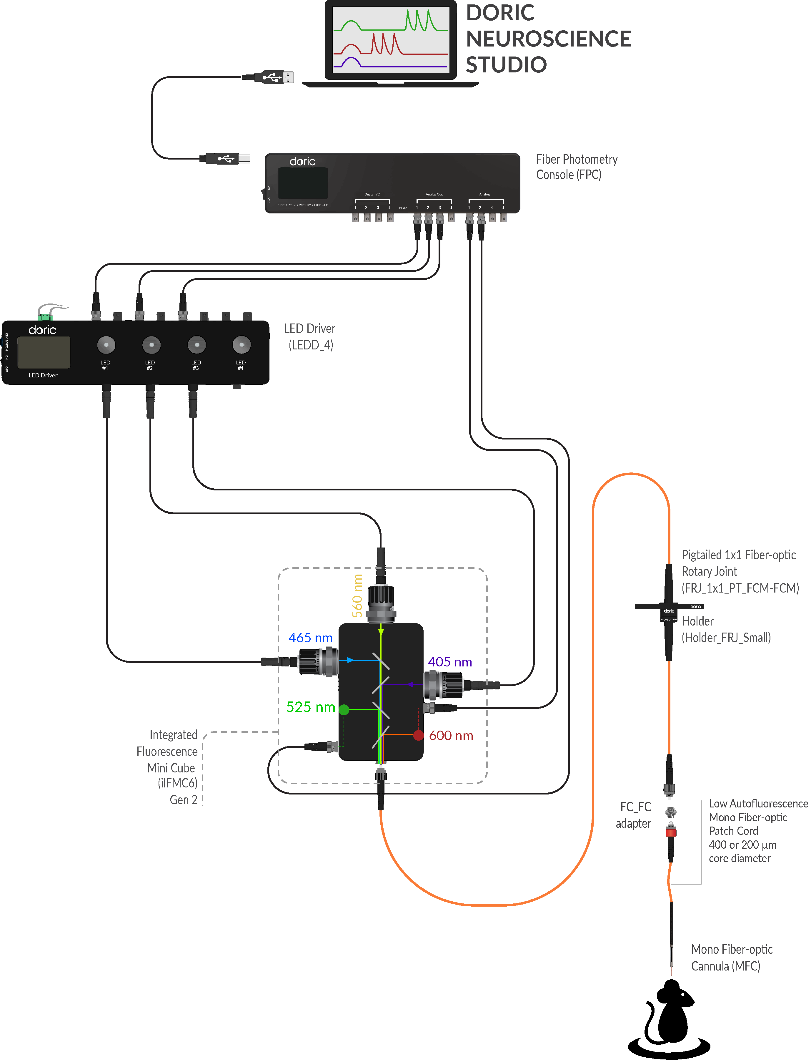 Basic Fiber Photometry System – Doric Lenses Inc.