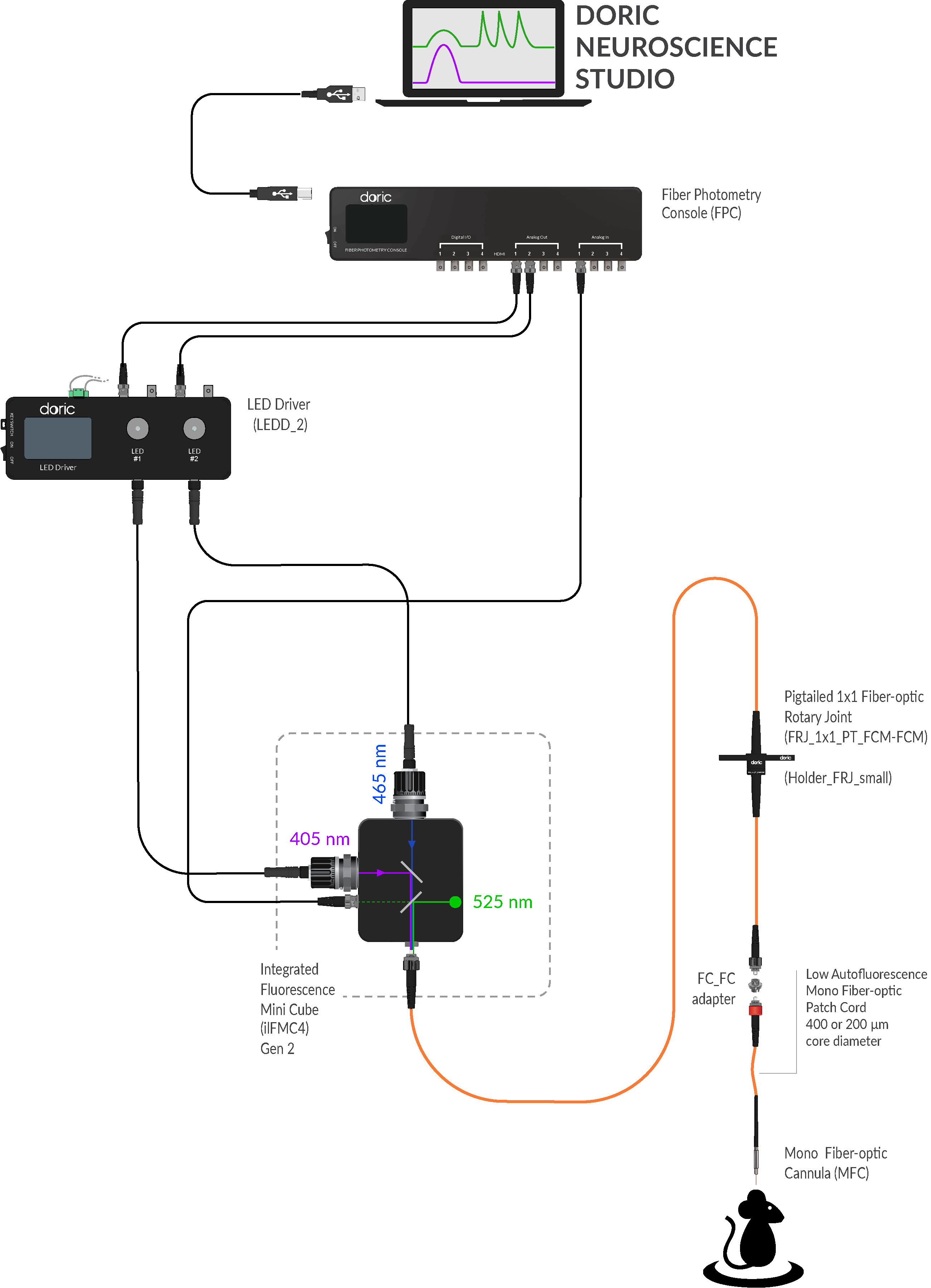 Basic Fiber Photometry System – Doric Lenses Inc.